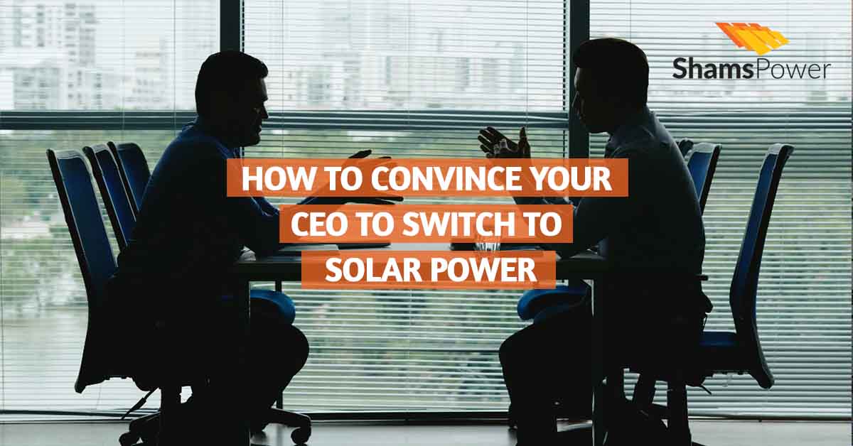 How to Convince your CEO to Switch to Solar Power